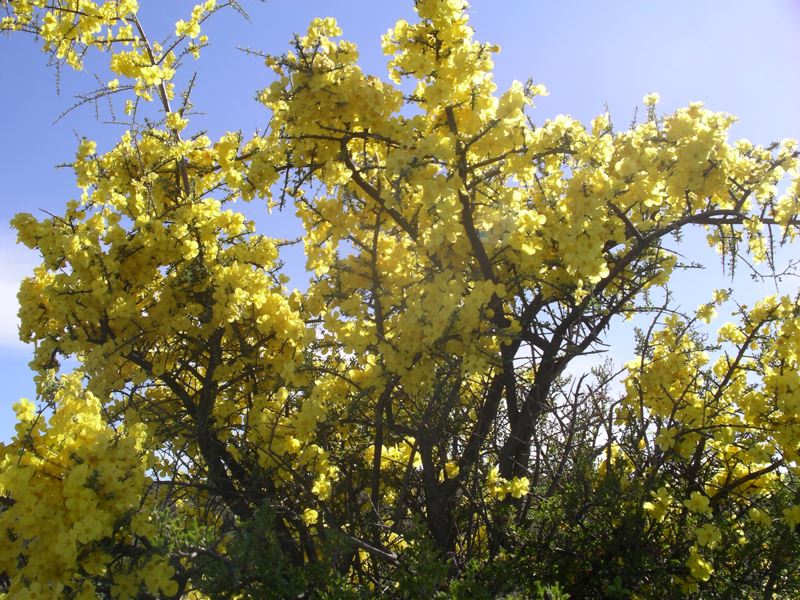 Rietfontein Game Farm - Activities